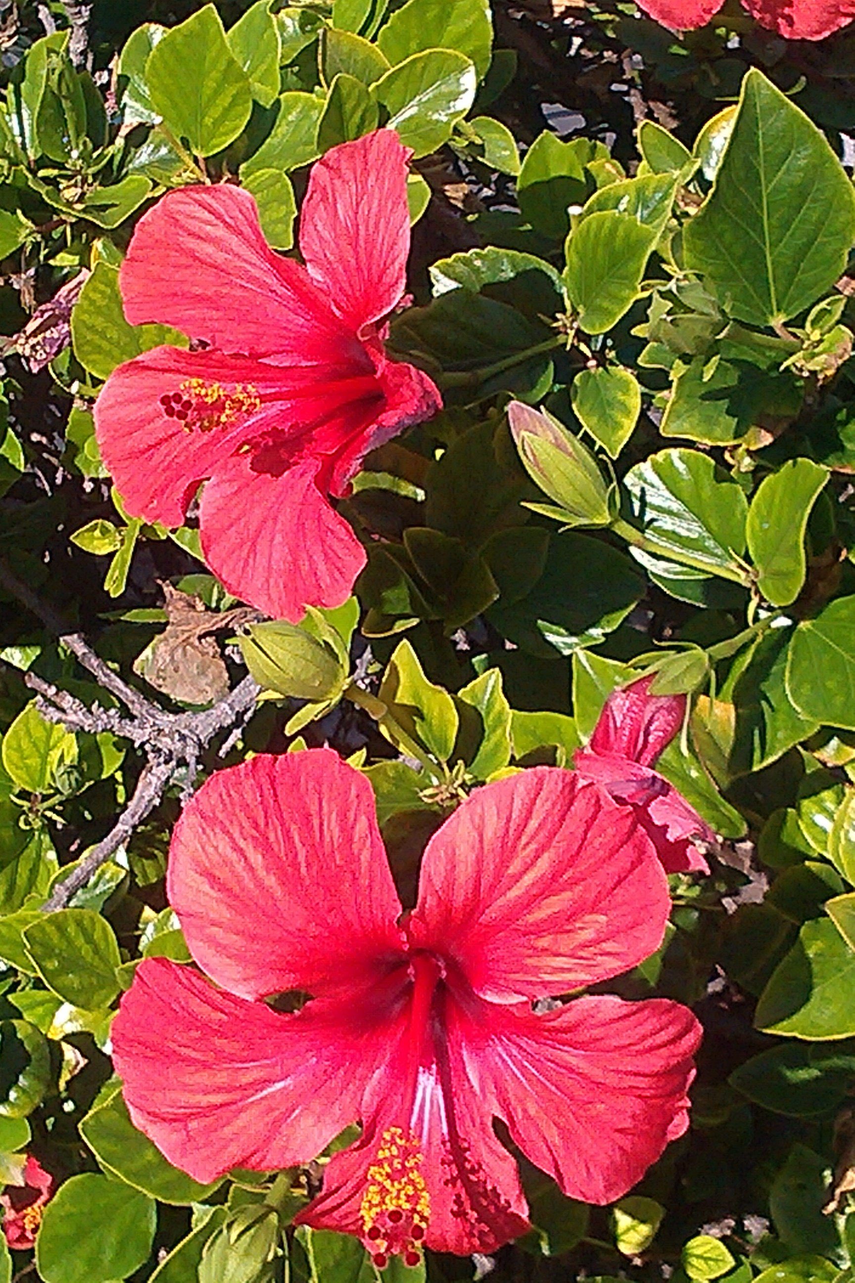 Poignant, Hopeful, Maybe Even Joyful – Allan Grant